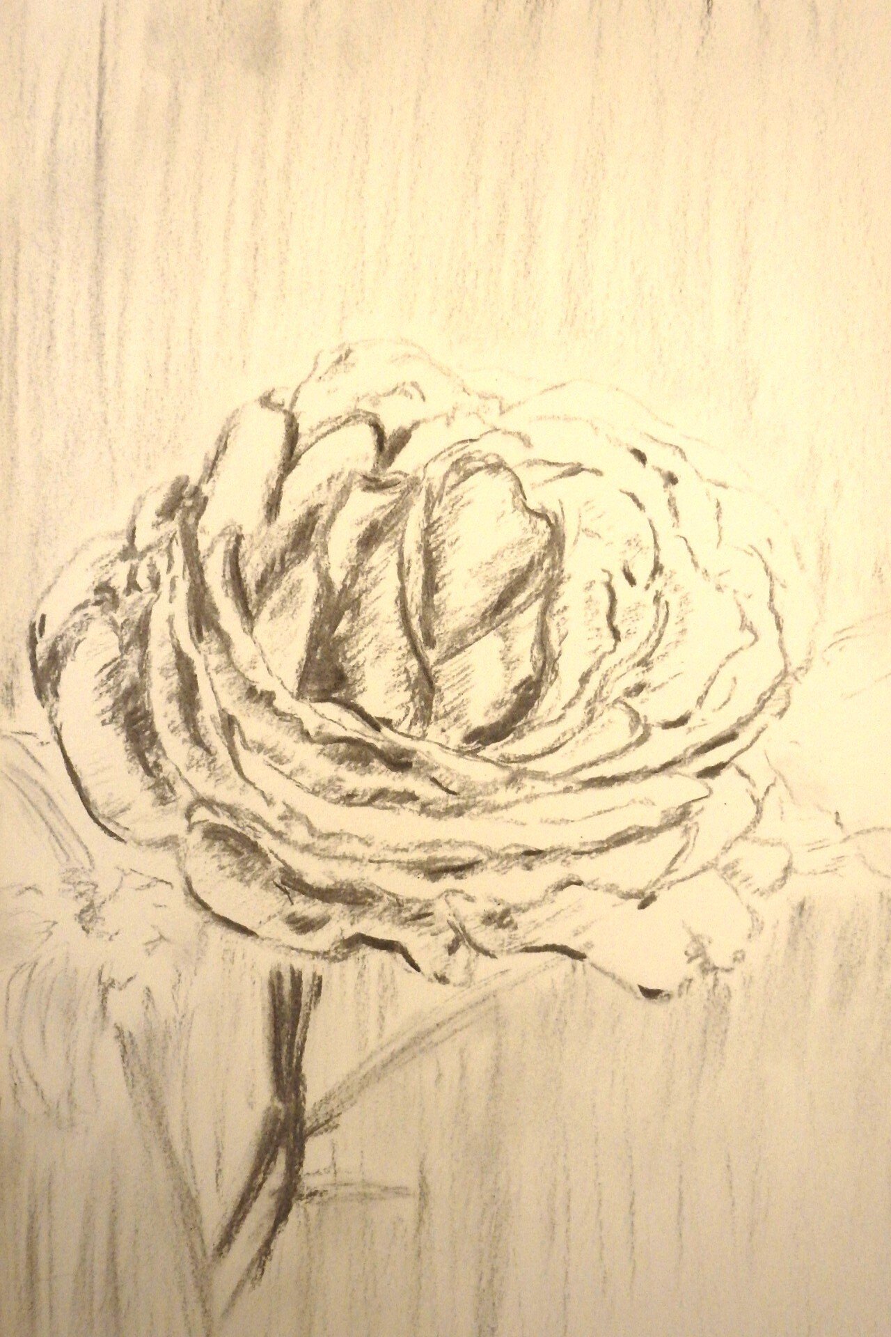 薔薇｜占星術師 HIRO｜note