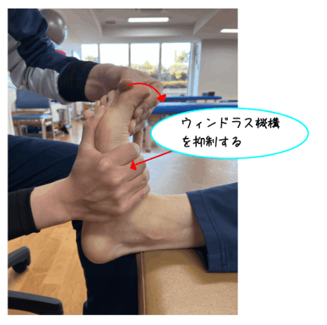 足関節外果骨折ORIF後のリハビリテーションについて｜Qlabity (クラビティ)