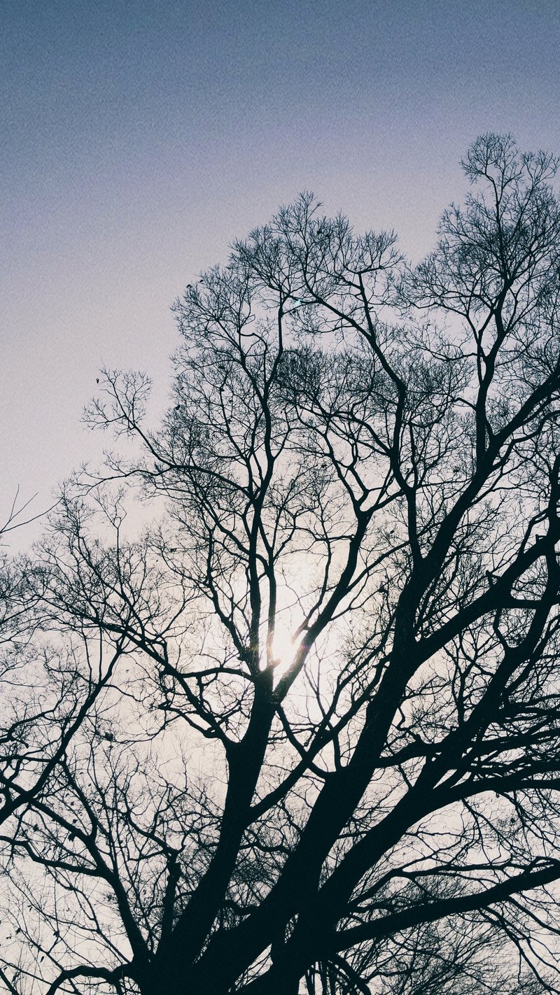 「面影」｜risa kuroda