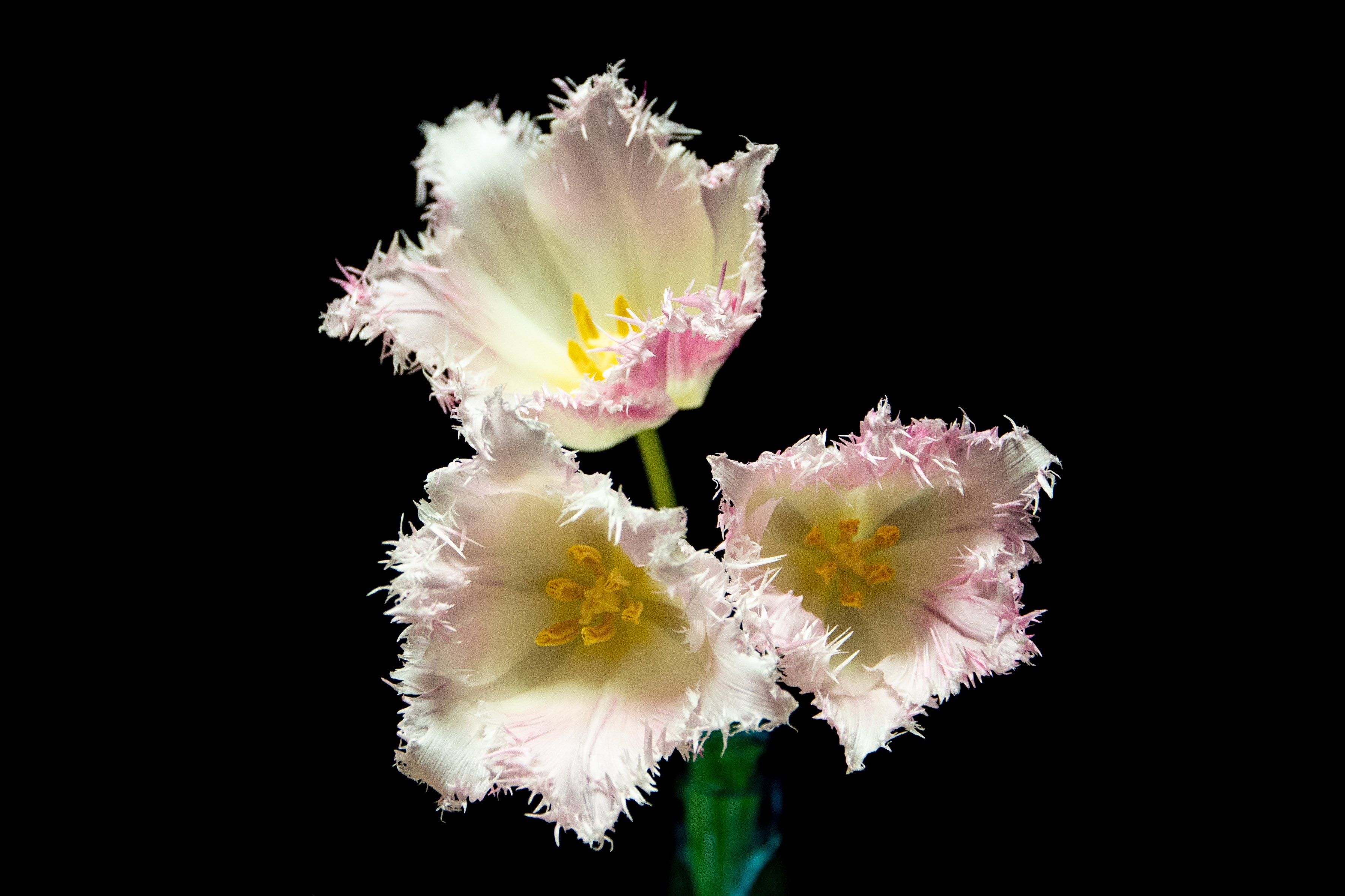 2303XX - 02｜yuki kimura｜note