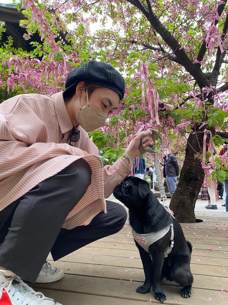 桜の御朱印を手に入れました！｜Koki Miyamoto｜note