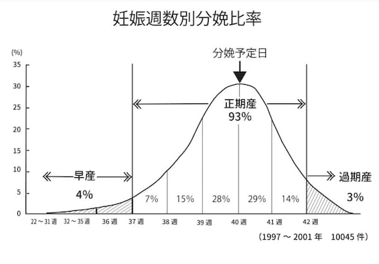 日仏妊婦&出産比較記3（妊娠後期）｜Mayuko TT