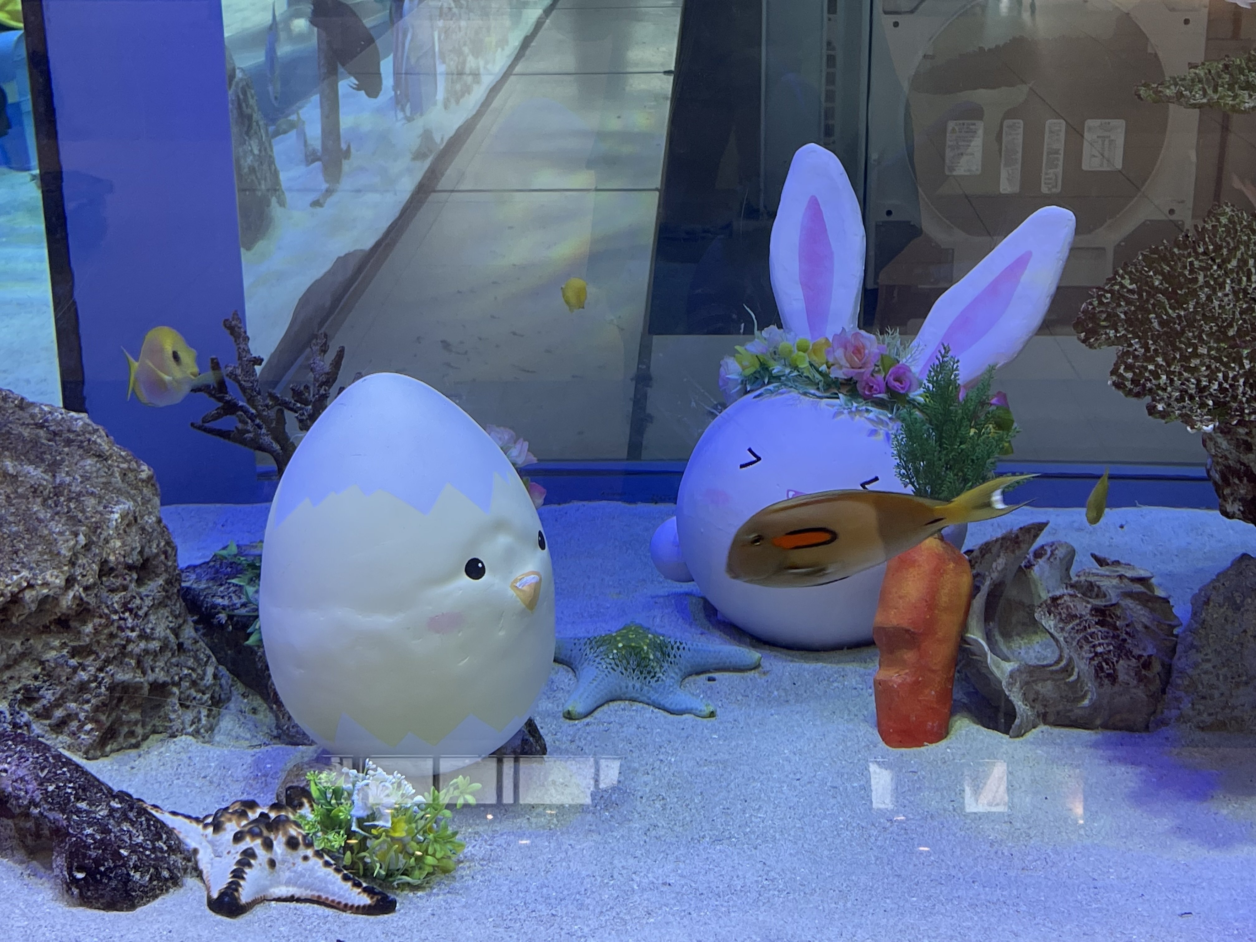 ウォーキング164日目.｜38gi.ryu｜note