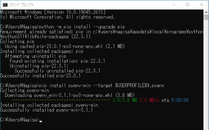 【Python】pyenv-winの導入方法（備忘録）｜星杜なぎさ