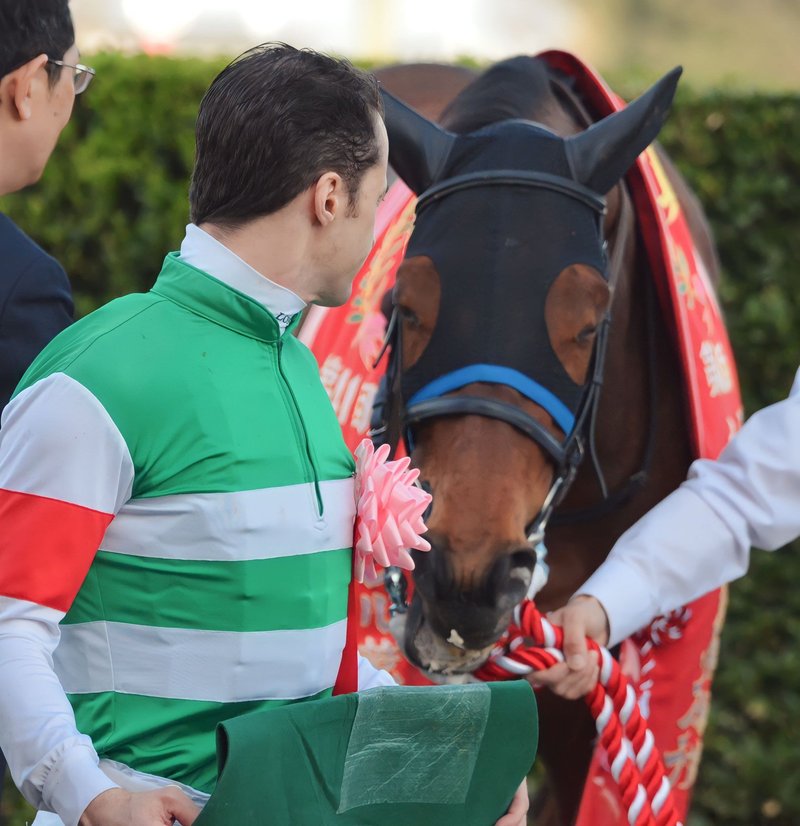 術はあるⅡ～その先へ】2023.03.16.｜Haya｜note