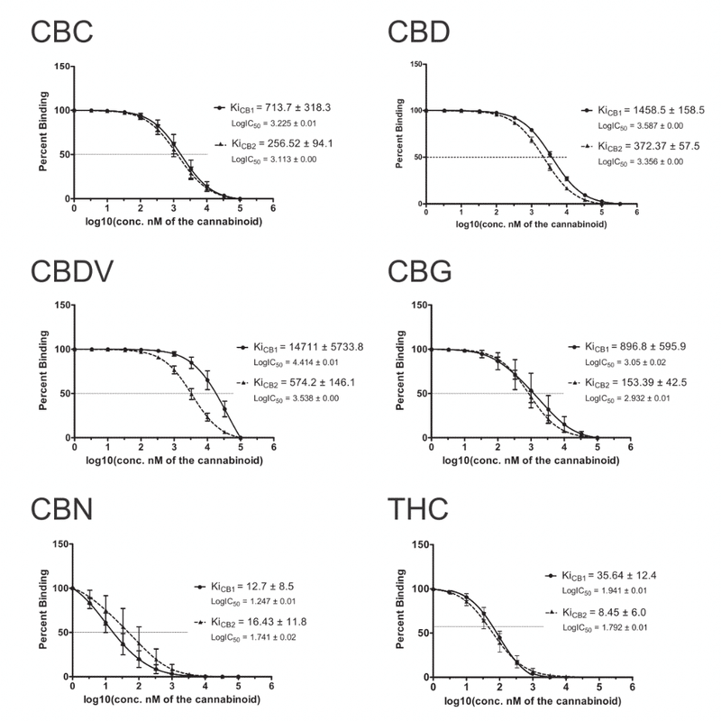 CBDVの可能性を探る：CBDと何が違うのか？【その2:CBDVとCBDの違い】｜ENFRIARTE | CBD CBN CBG｜note