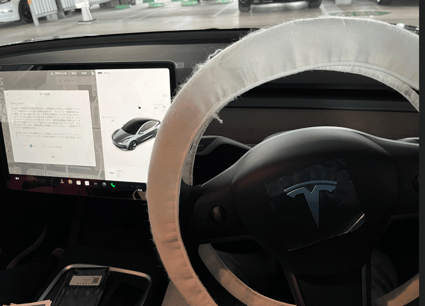 テスラ購入日記Final. Model 3 納車！ 有明ガーデンへ｜PomG