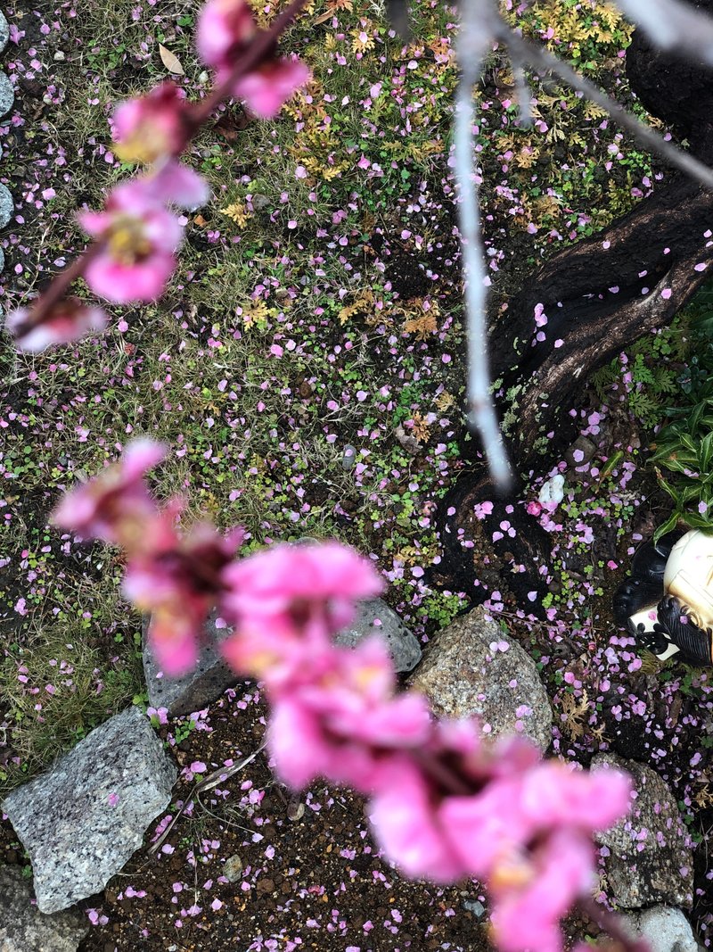 in your mind｜kao-line｜note