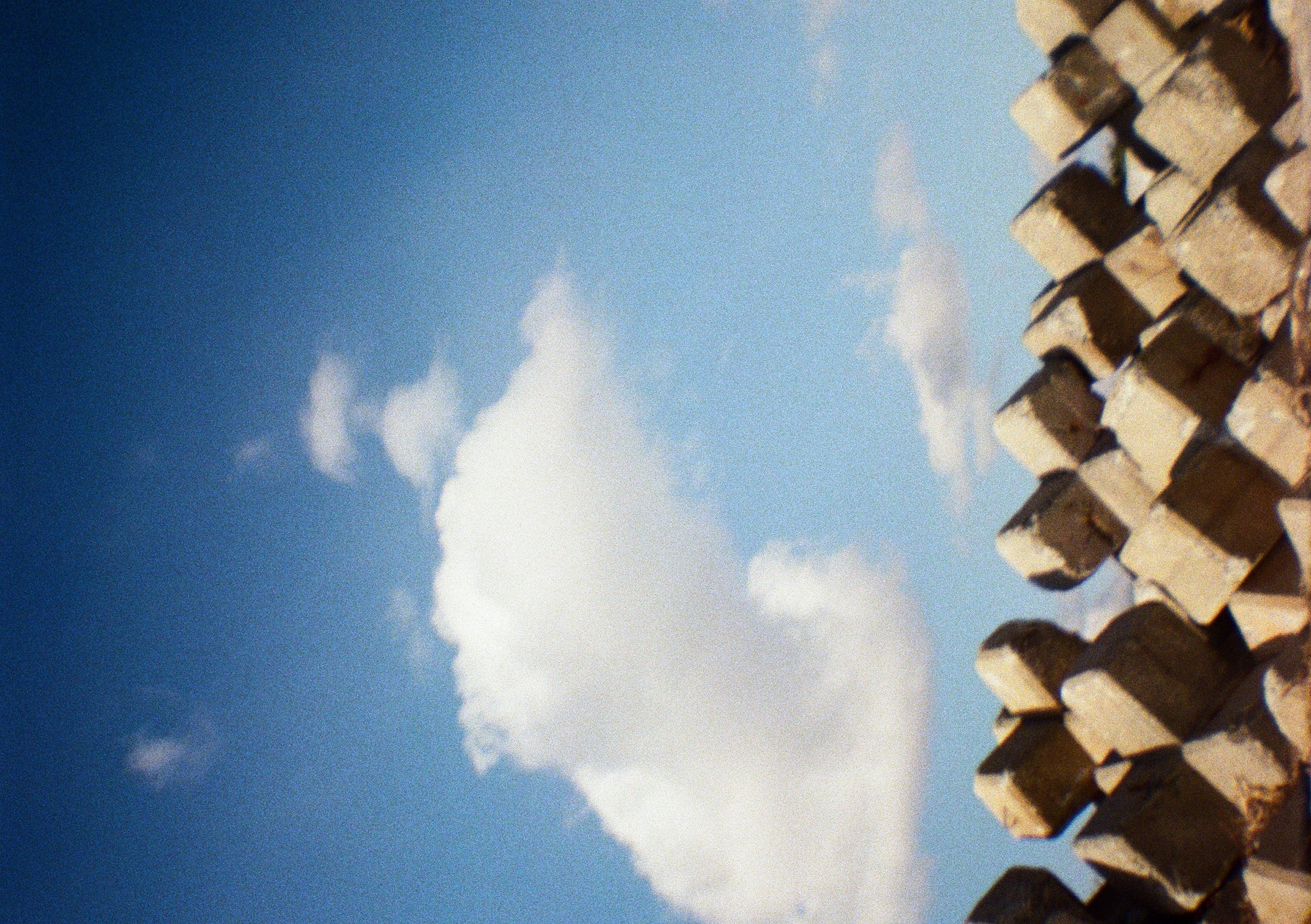 diana mini/トイカメラ｜midori｜note