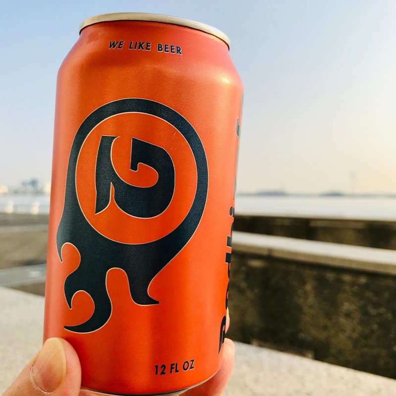 【ビールレビュー】あなたの期待以上に美味しい-Bodhizafa IPA-｜ボッシュ
