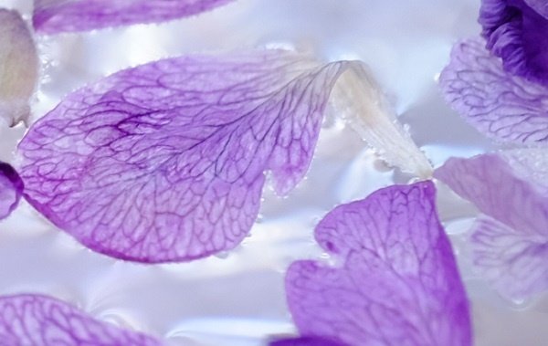 tabito☆note 【50代の心の健康①】｜tabito