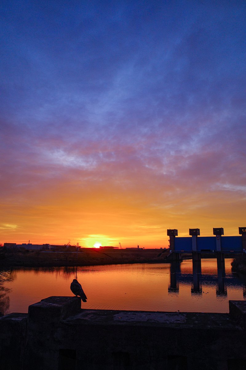 人生の半分東京に住んでも、生まれ育った所に近づいてしまう｜akano_naoki｜note