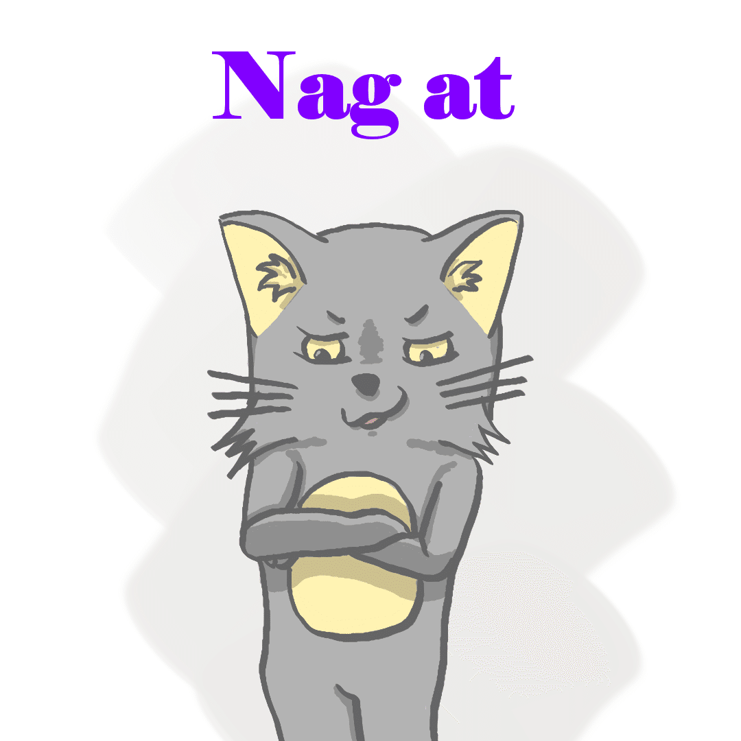 句動詞編 PV042 Nag at｜pom