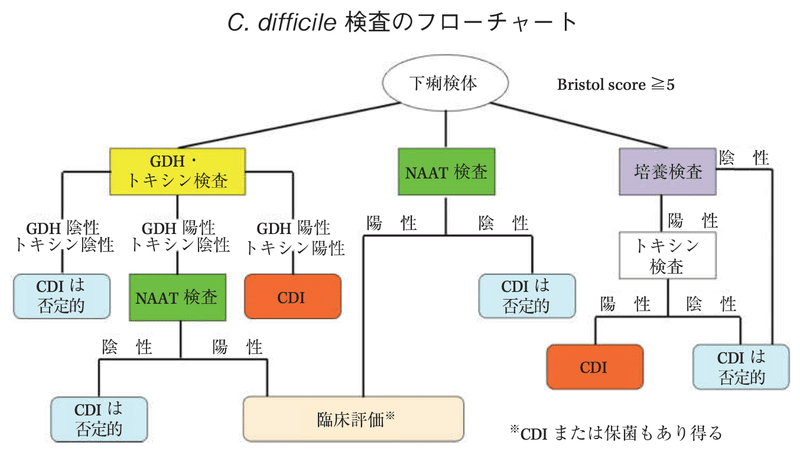 Clostridioides difficile 感染症（CDI）のマネジメント｜Gajumaruのメディカルワークアウト