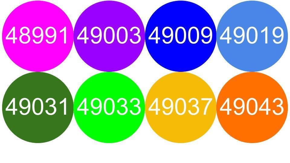 【第20回】5桁の素数鑑賞【48017-49999】｜SOSU Lover (Number Mania)