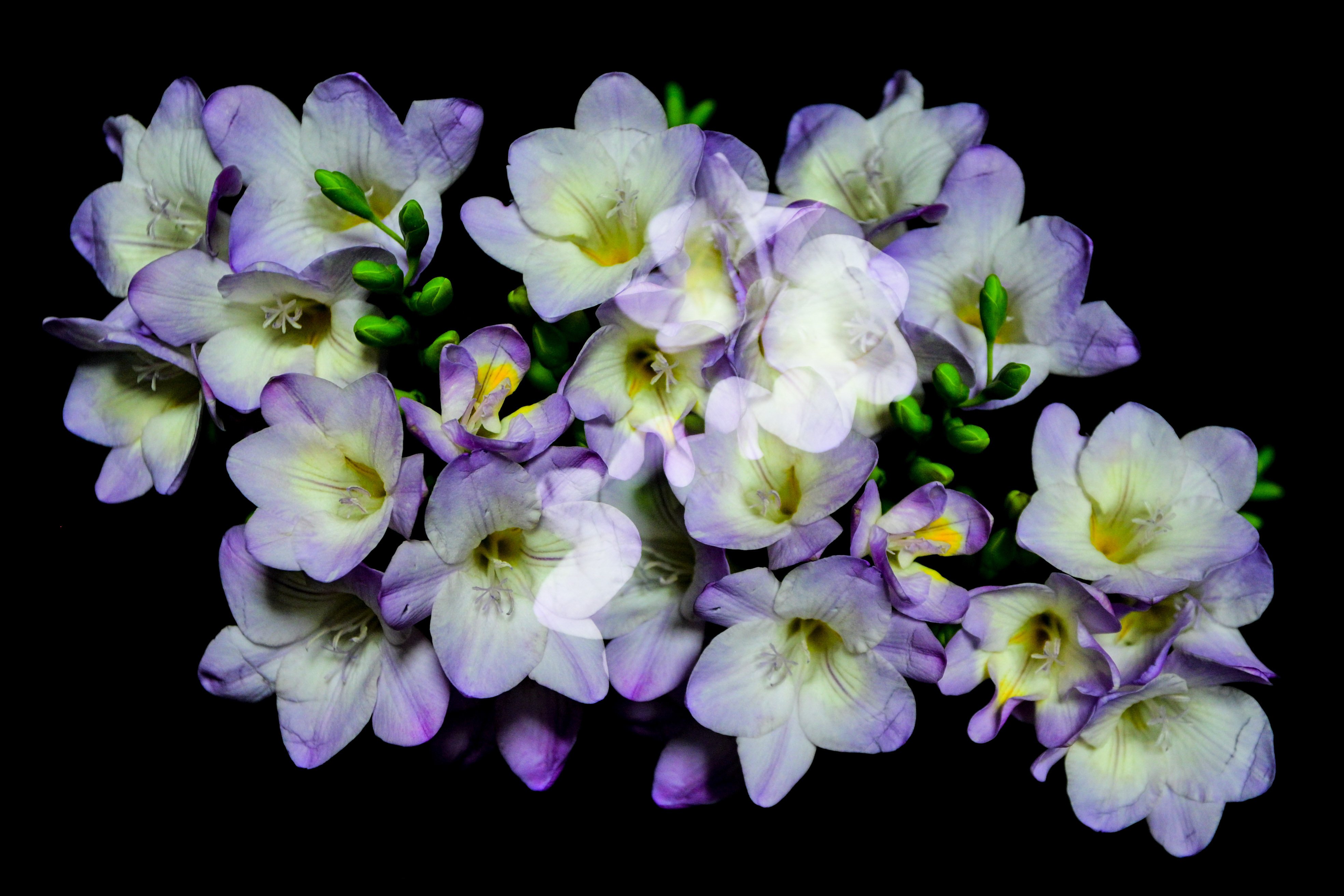 2303XX - 03｜yuki kimura｜note