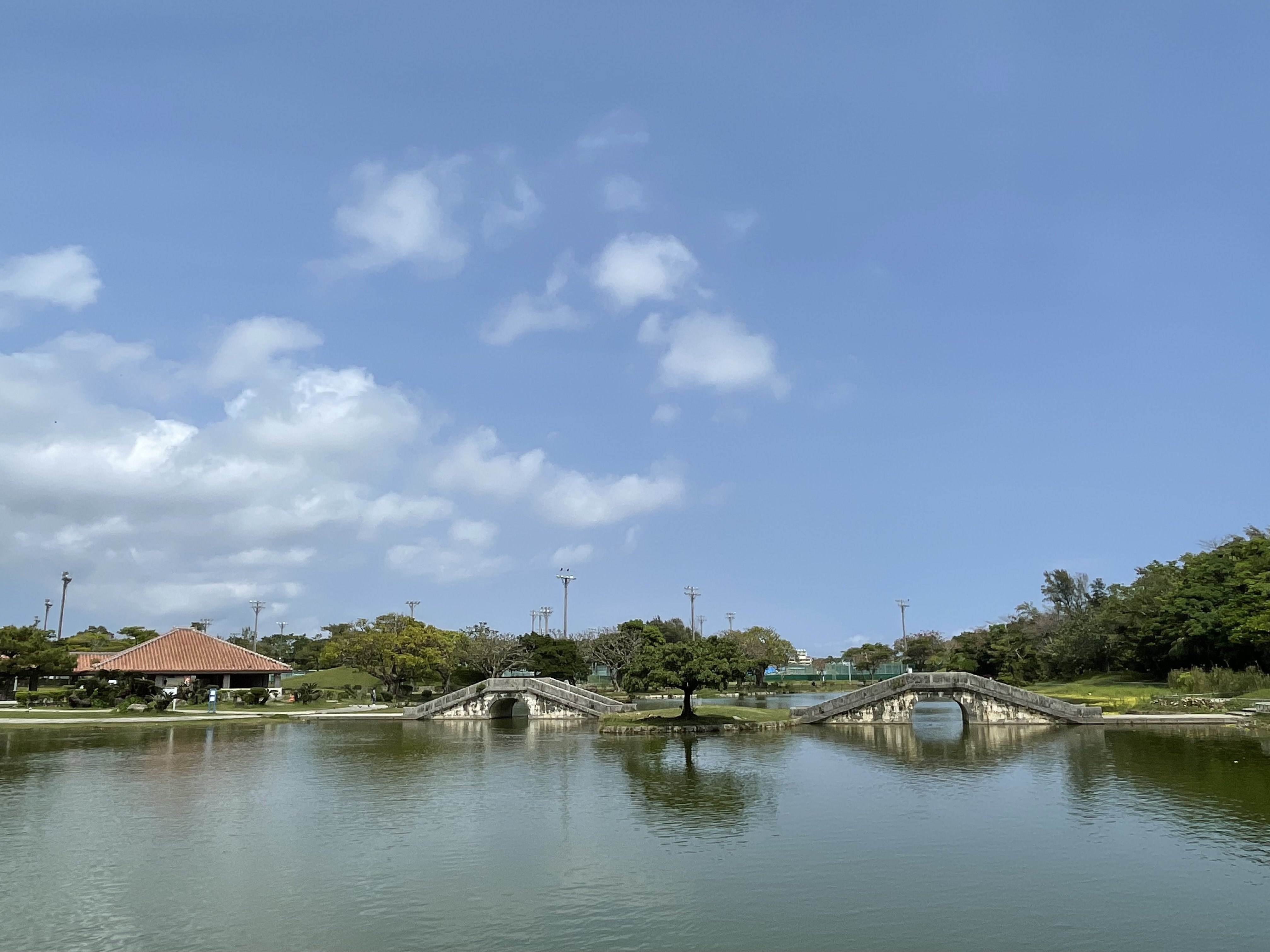 ウォーキング172日目 写真3題｜38gi.ryu｜note