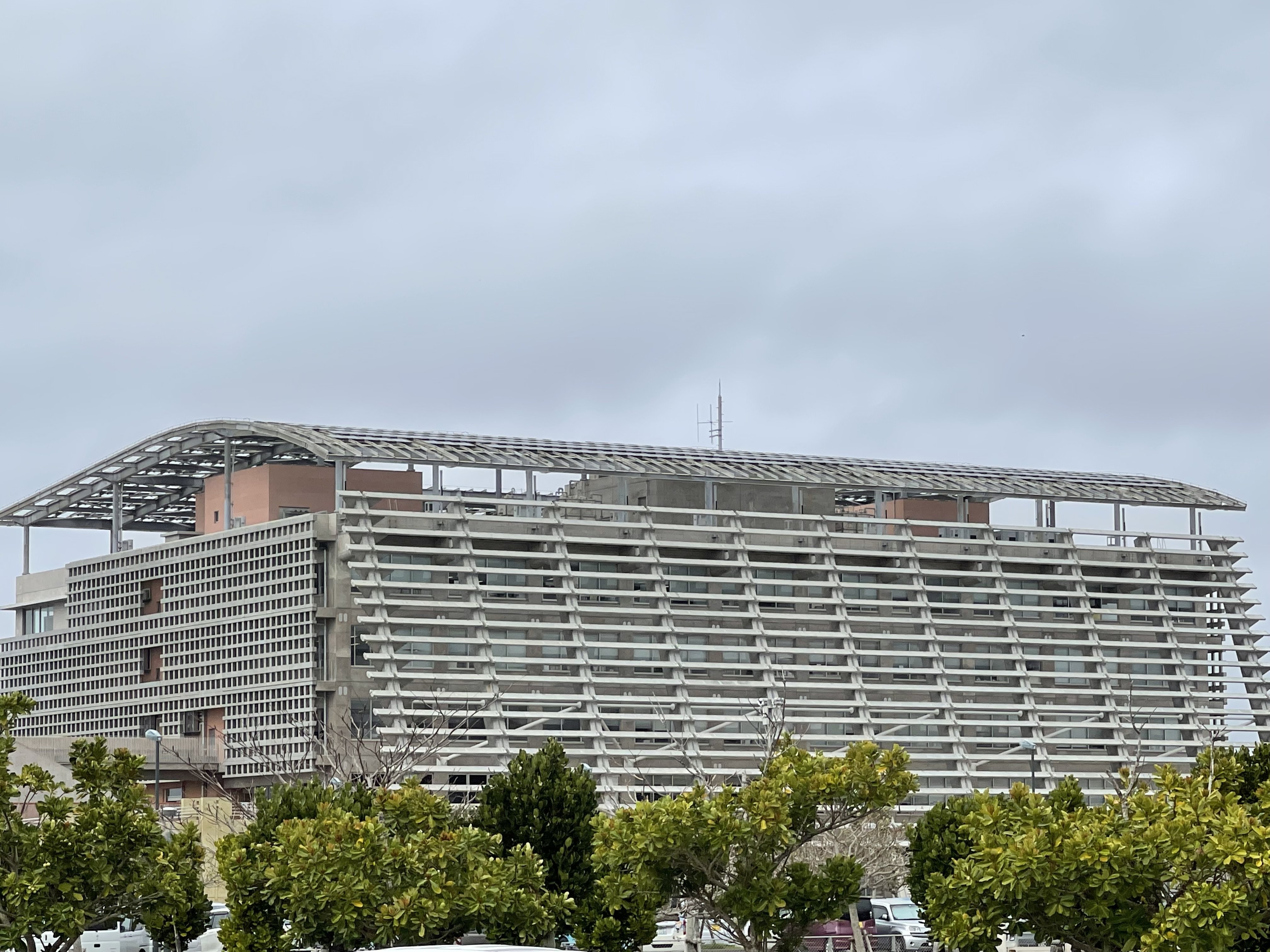 ォーキング173日｜38gi.ryu