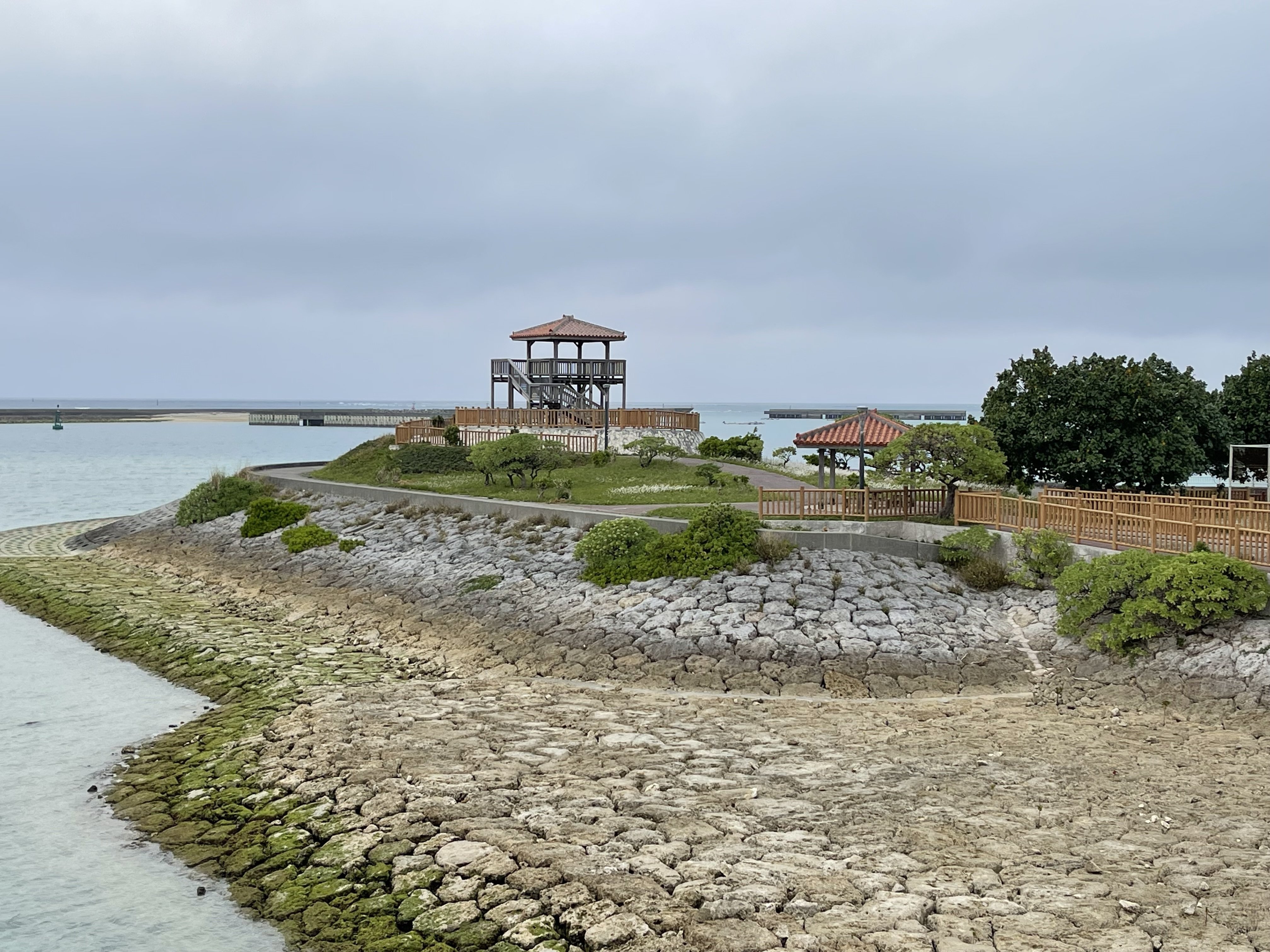 ォーキング173日｜38gi.ryu