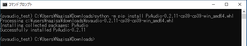 【Python】pyaudioの導入方法｜星杜なぎさ