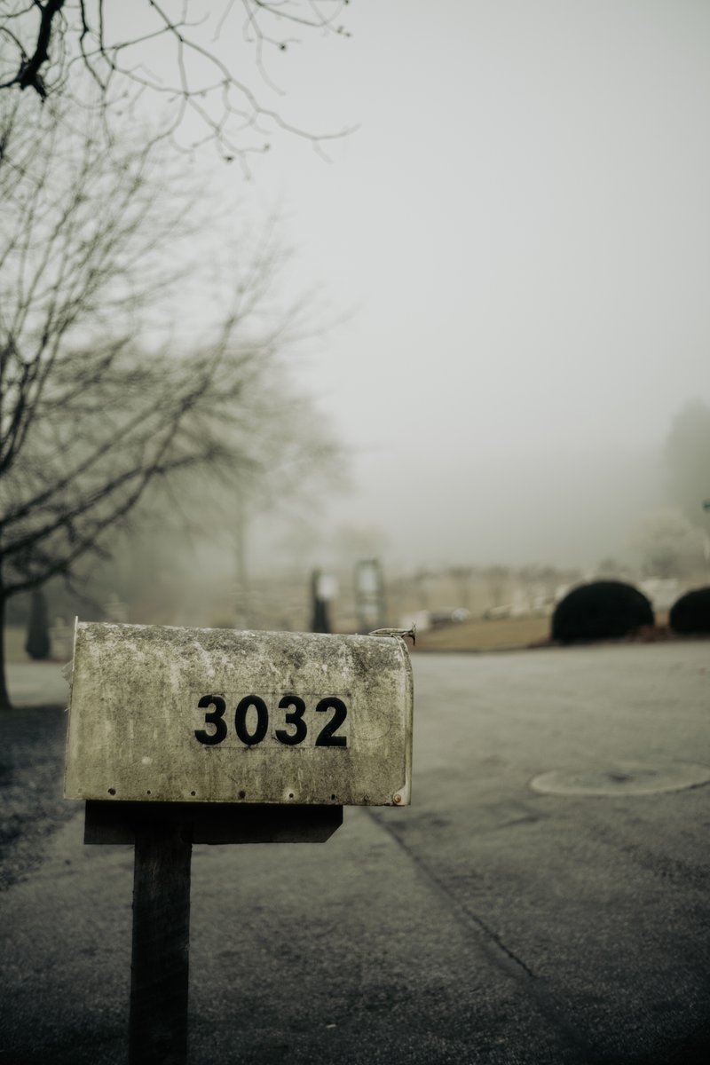 Misty morning ＜LEICA M10-P＞｜MOJA MOJA｜note