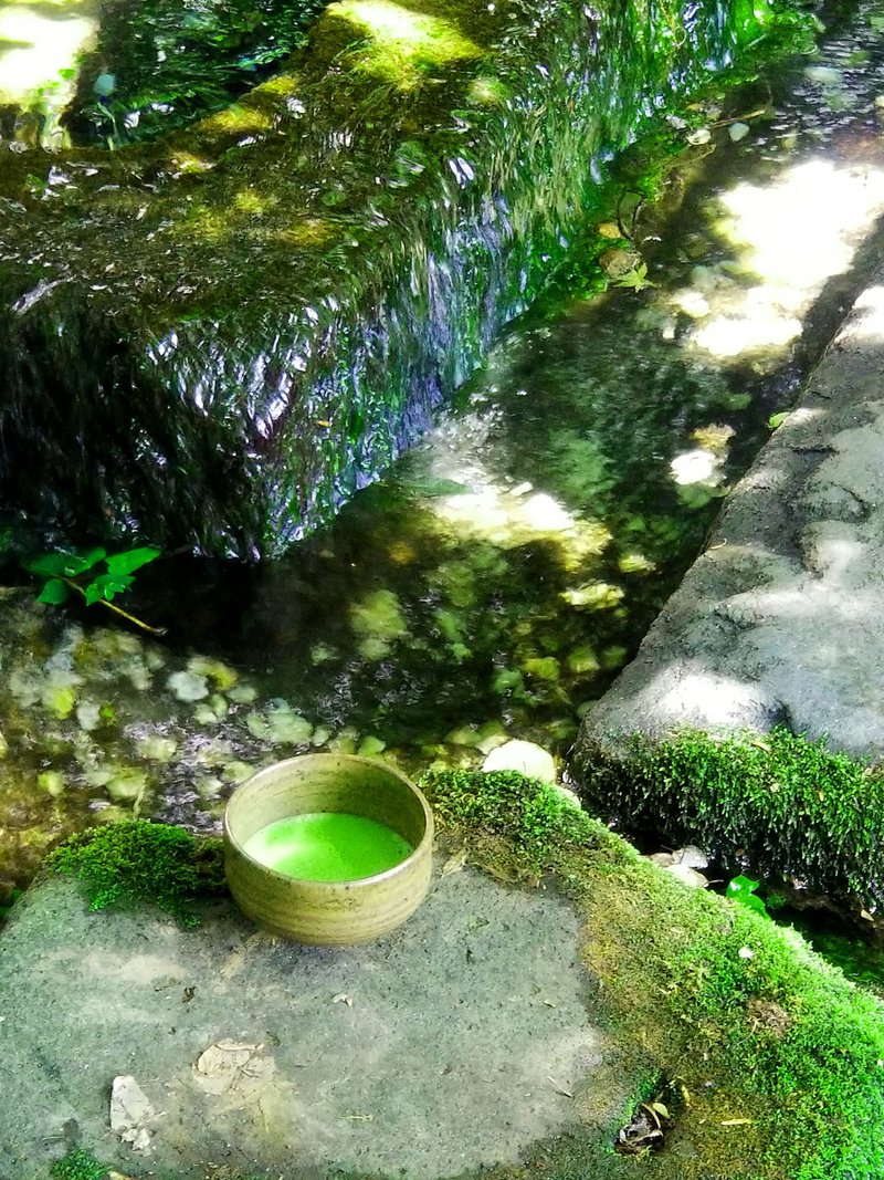 お茶とお水｜晶瑩 SHOUEI TEA｜農薬を使わない茶専業｜note