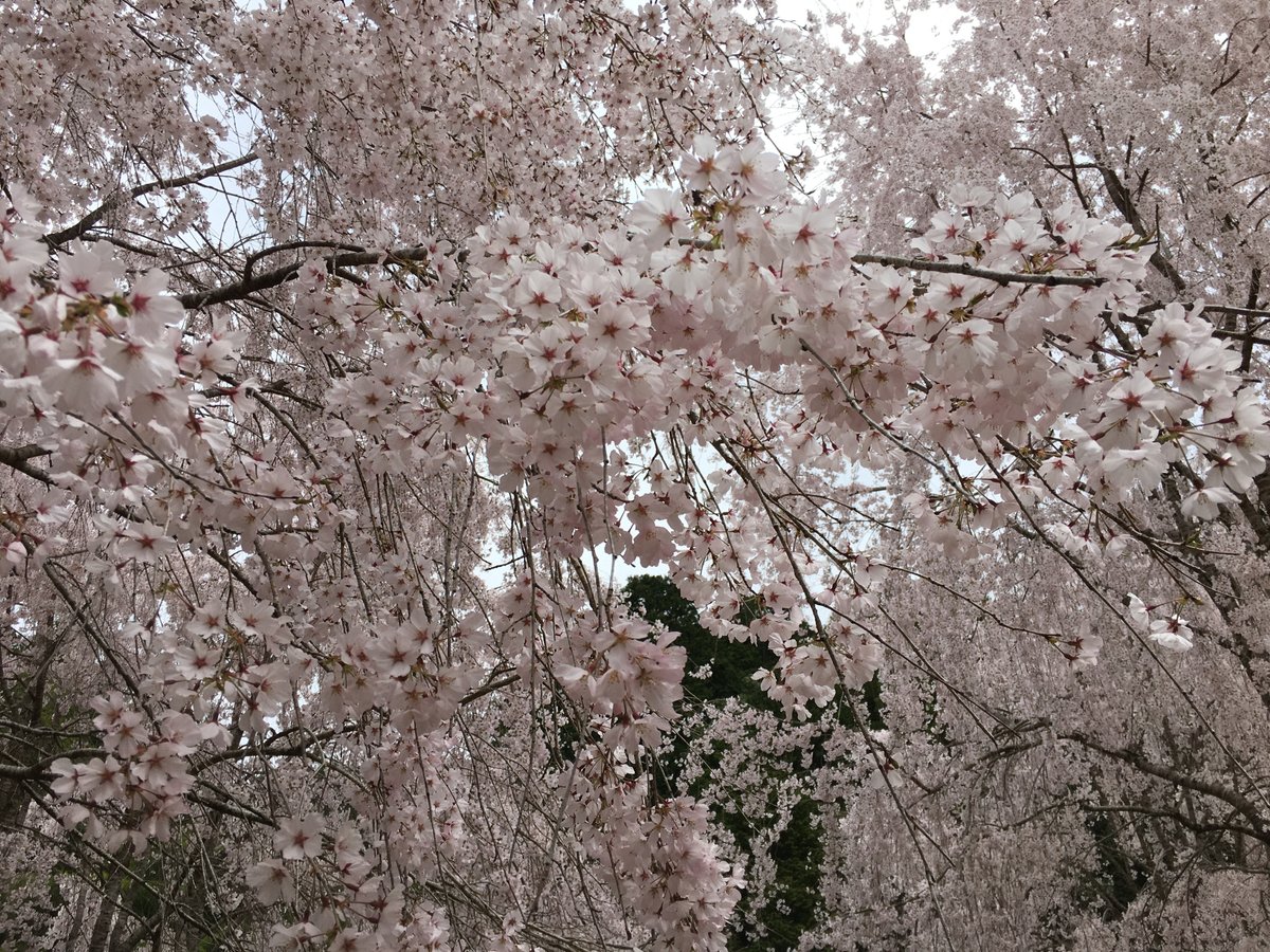 逆境の先の景色をつくるのは自分｜TATEITO PR