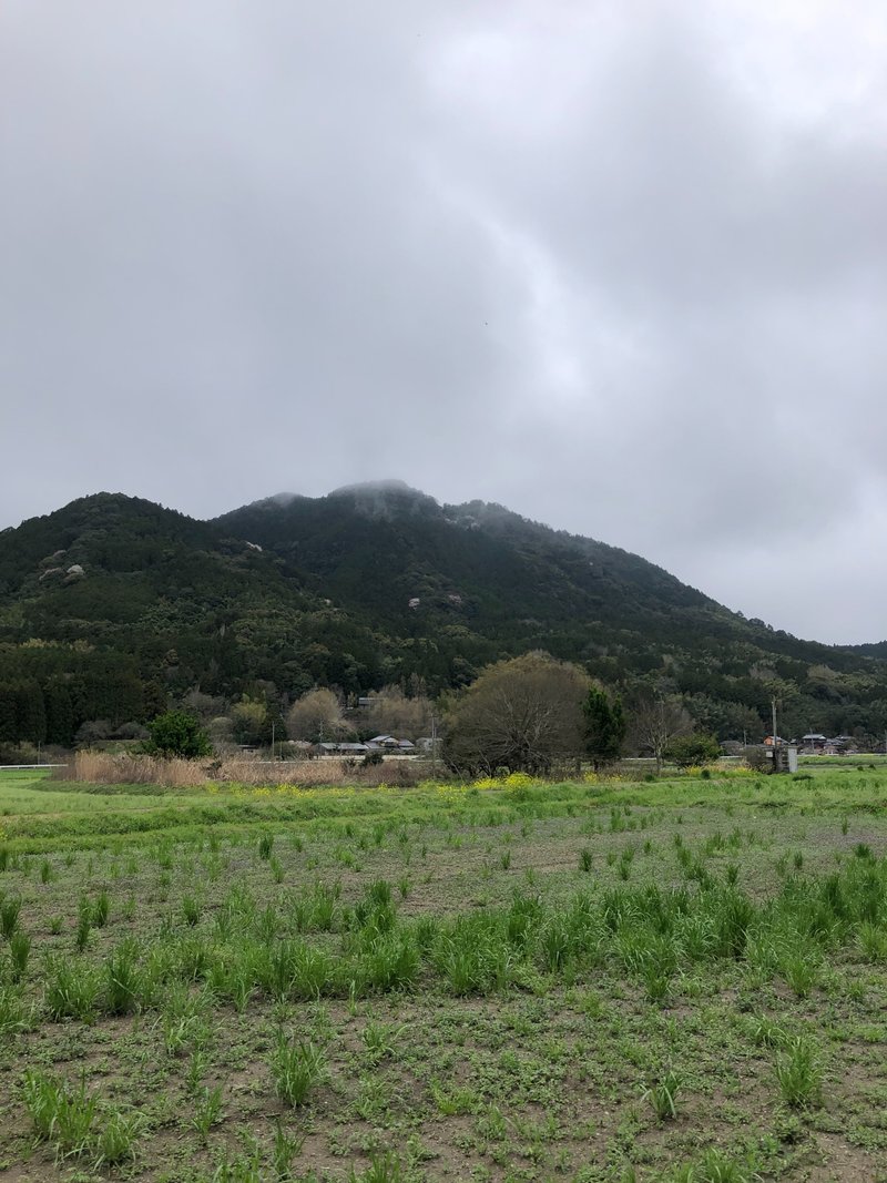 めくるめく春〜！｜catcatcat