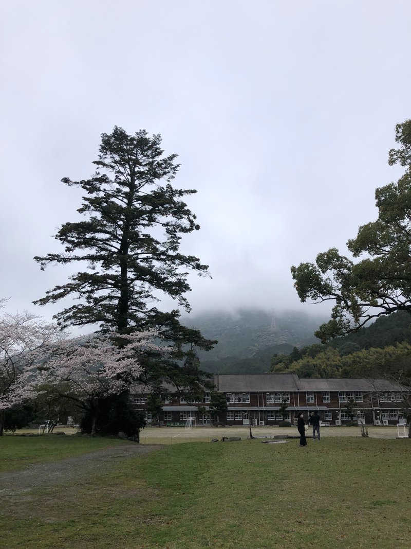 めくるめく春〜！｜catcatcat