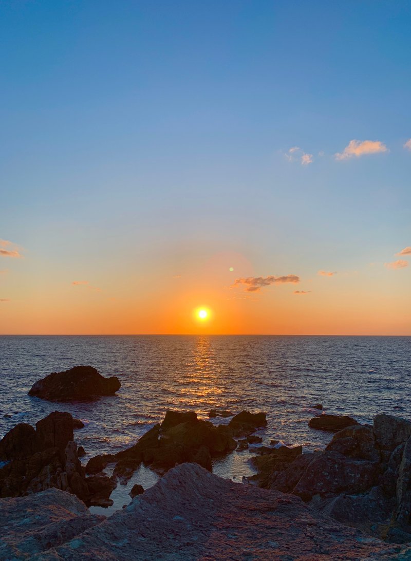 千明と徹の珍獣日記 〜青天の霹靂クリスマスプレゼント2022〜｜Chiaki Kamuki｜note