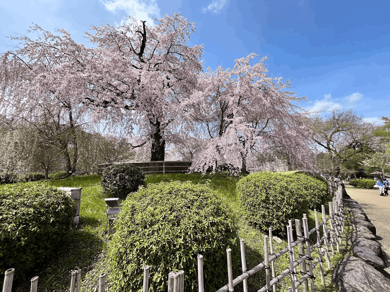 おばさんはすぐ疲れるんだよ。｜yucco｜note