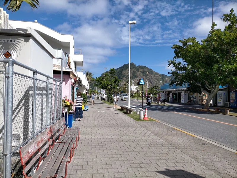 【世界自然遺産】小笠原旅の栞 予算と実際にかかった費用の紹介【父島・2航海・12泊13日】｜Pickee