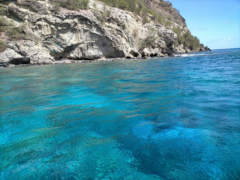 【世界自然遺産】小笠原旅の栞 予算と実際にかかった費用の紹介【父島・2航海・12泊13日】｜Pickee