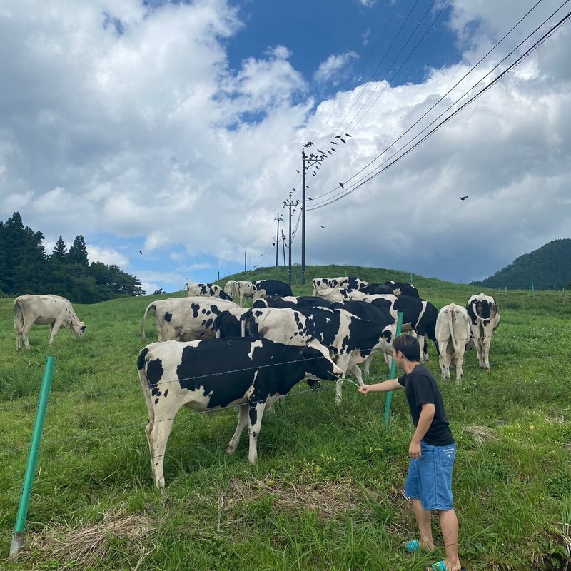 おかず流独学根性ダイエットのススメ｜Okazu｜note