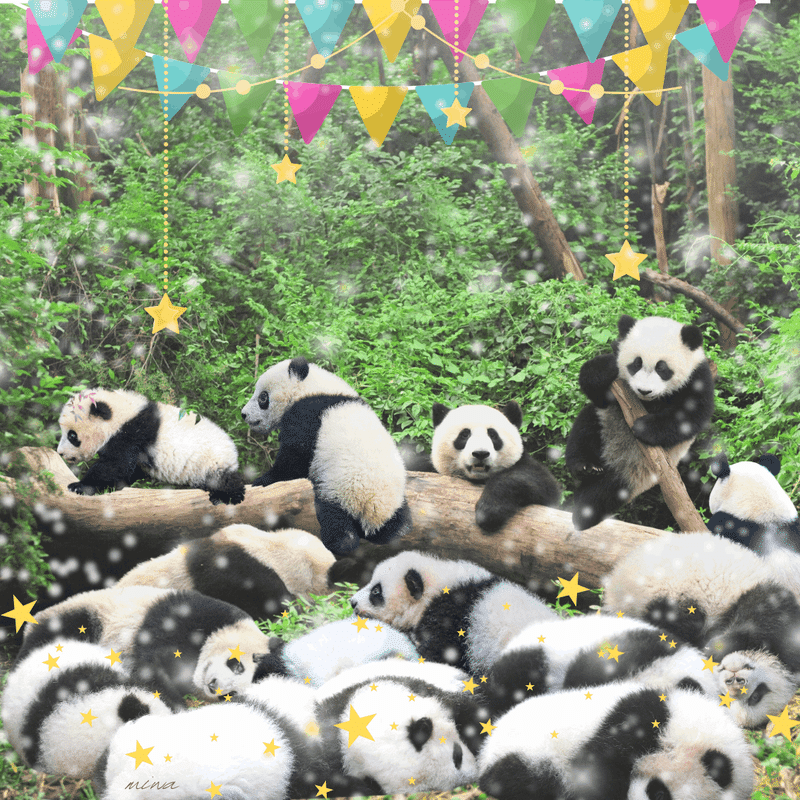 まちがいさがし(7)昼寝中の子パンダたち｜miwa｜note