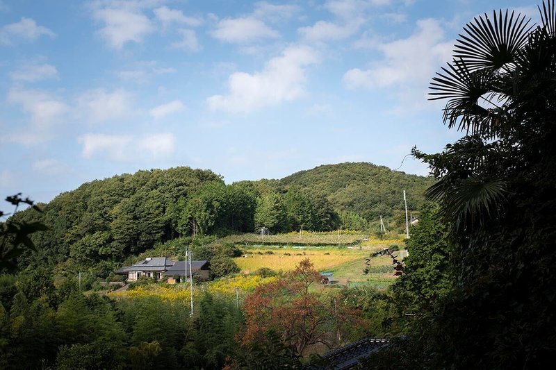 いくおさんとの夏｜Daisuke Shibata｜note