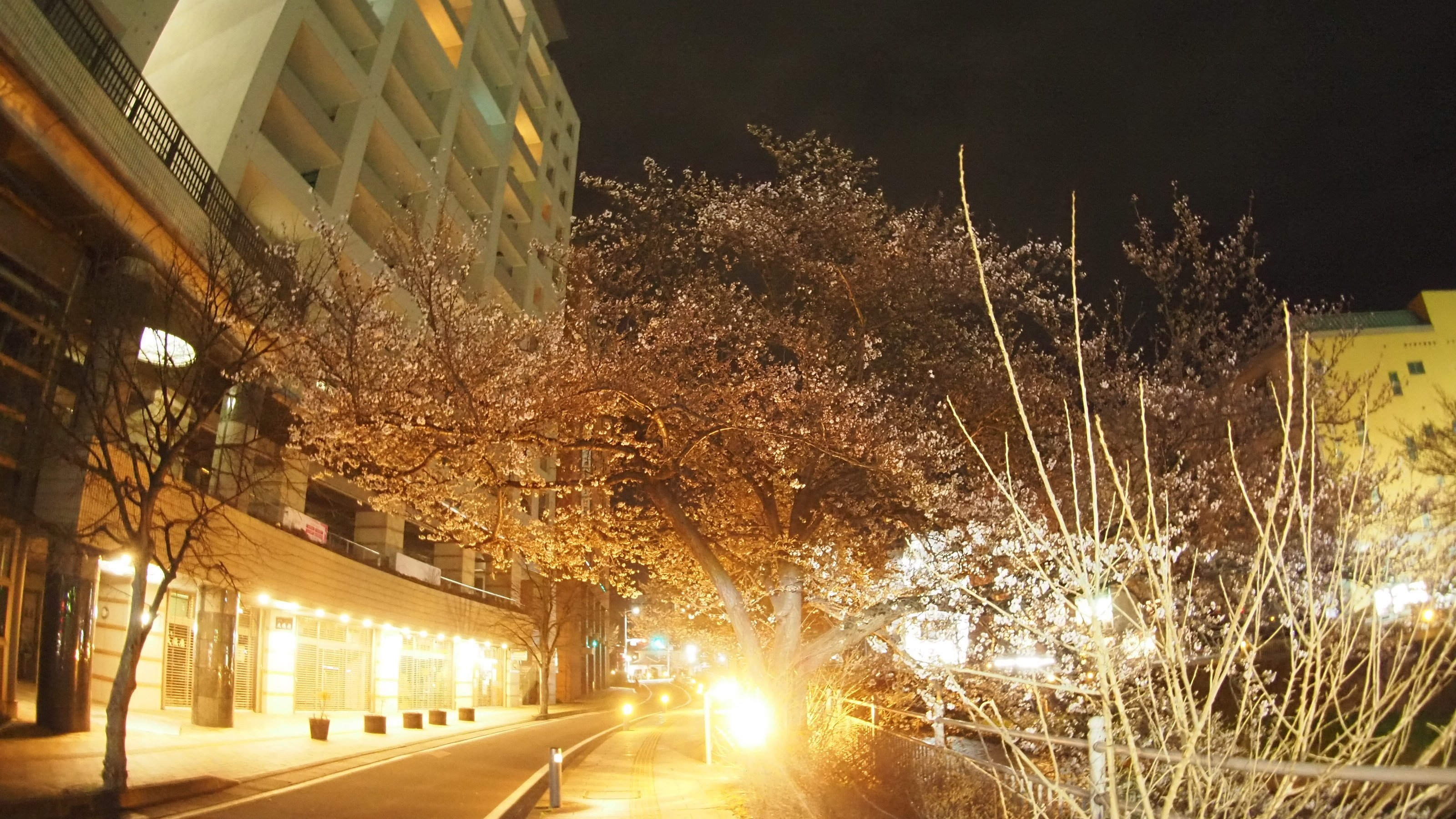 Matsumoto Night Walk 20230327｜池谷恵司