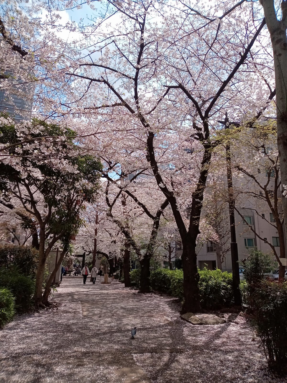 "進化"を続けるMBSD社内勉強会｜MBSD（三井物産セキュアディレクション株式会社）