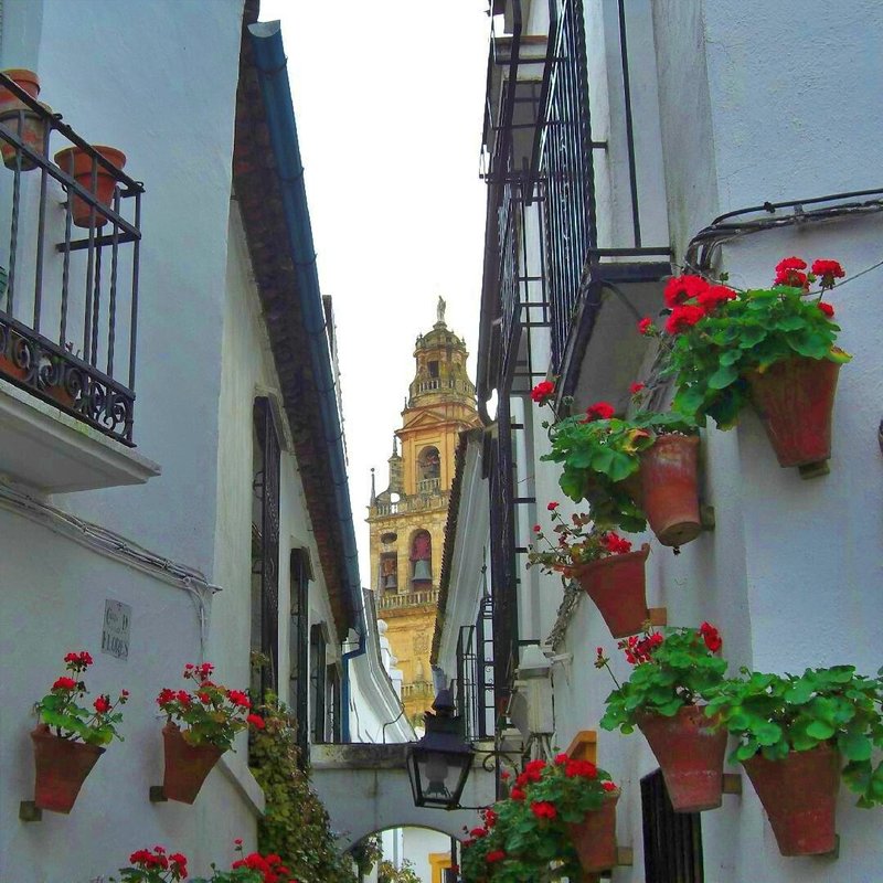 2023-02-28 フデリアの花の小路｜Akihiko YAMAZAWA｜note