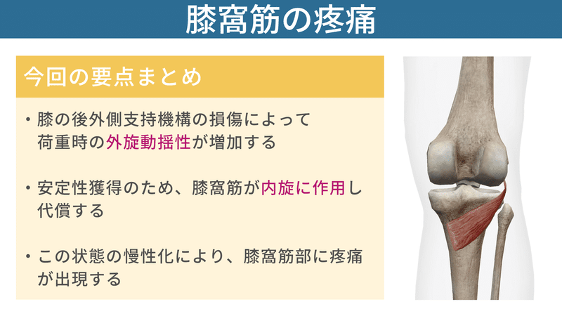 膝窩筋の疼痛-PLRIのメカニズム-｜理学療法メモ