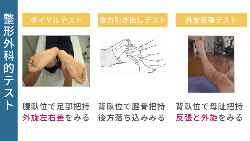 膝窩筋の疼痛-PLRIのメカニズム-｜理学療法メモ