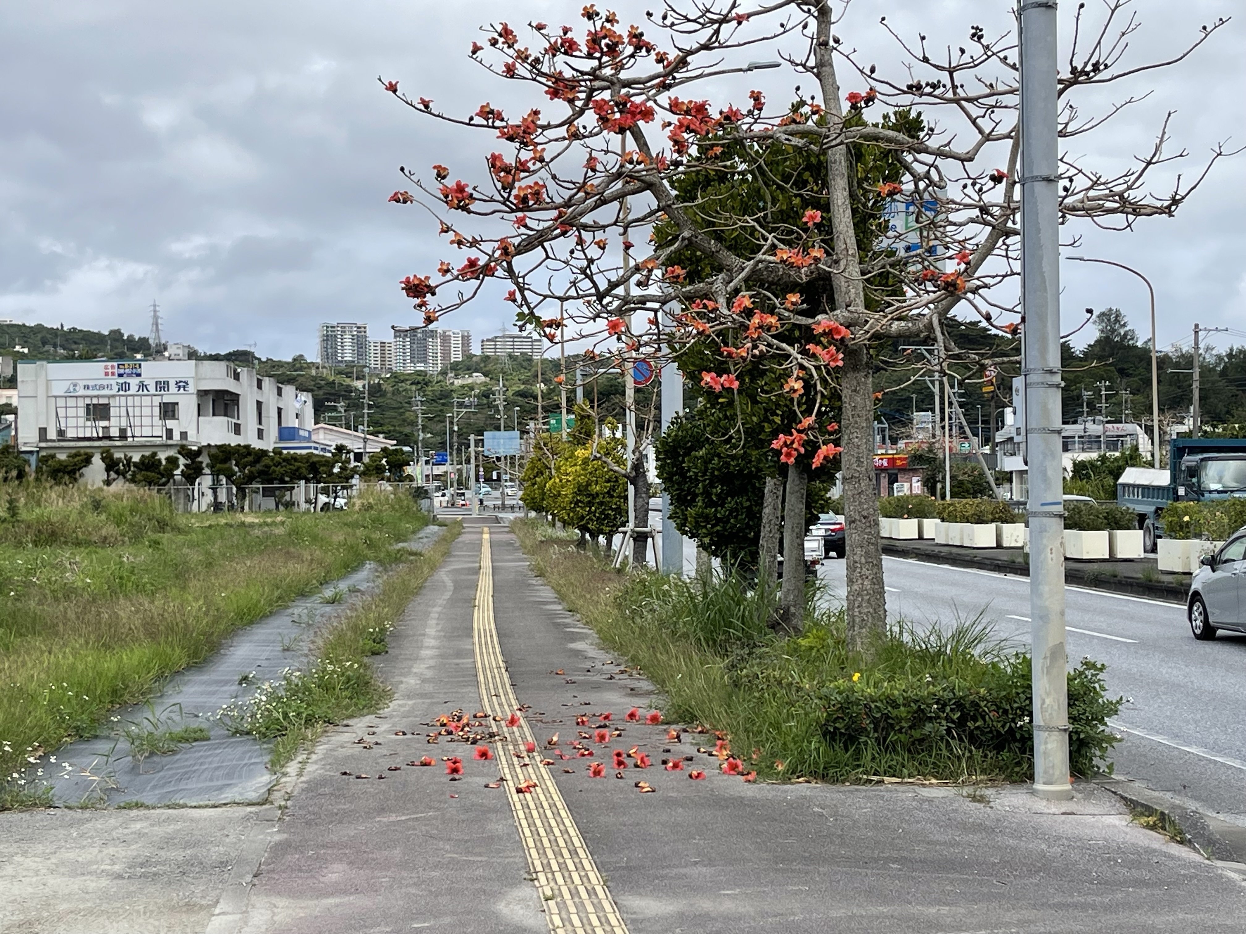 ゥォーキング184日 写真2題｜38gi.ryu｜note