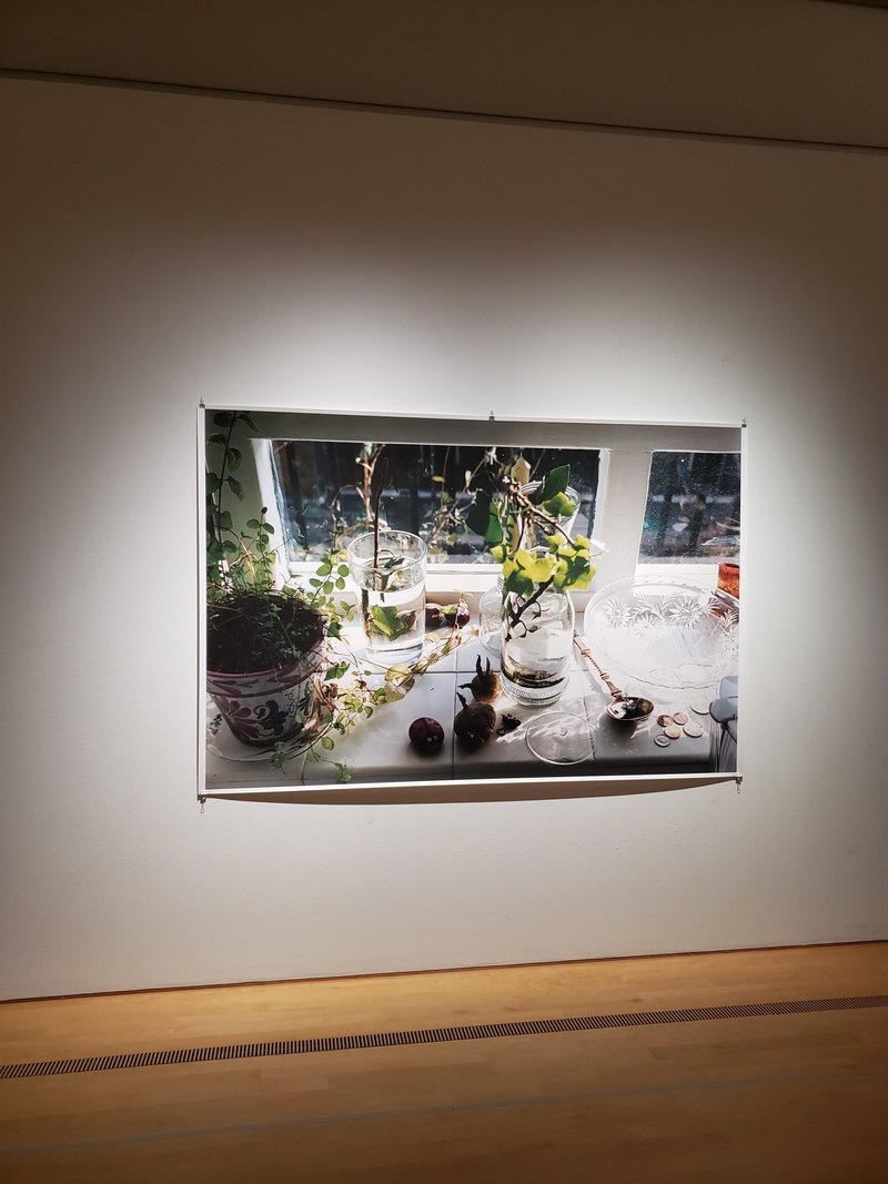 部屋のみる夢 ― ボナールからティルマンス、現代の作家まで｜OtsukaYosuke 大塚陽介｜note