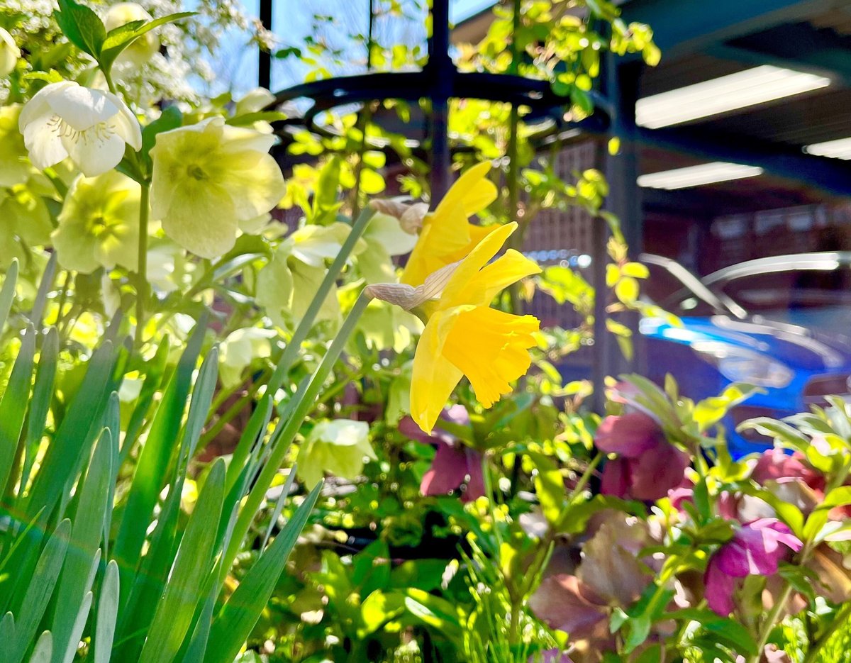 今日の1枚（2023/4/3）｜Chikako