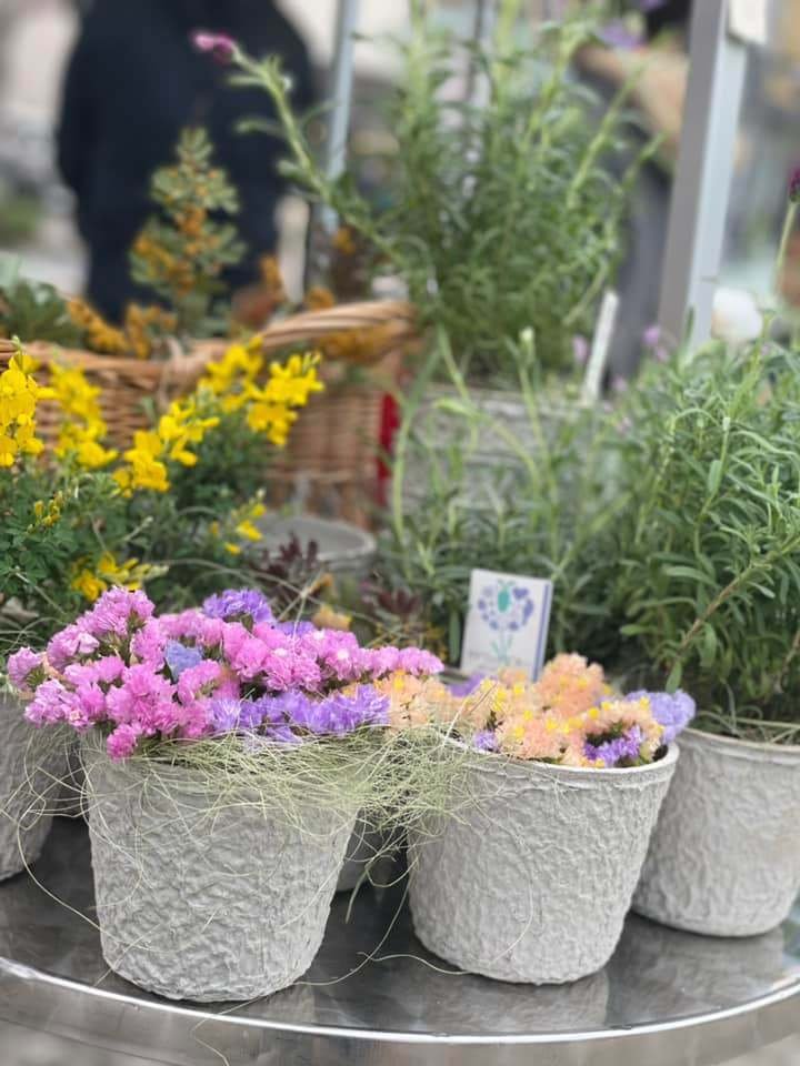 STEMN コラボ事例～業界関係者～｜岩田紫苑