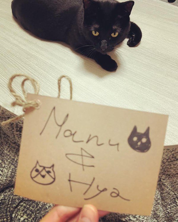 パズルのピース｜植田真梨恵 / Marie Ueda｜note