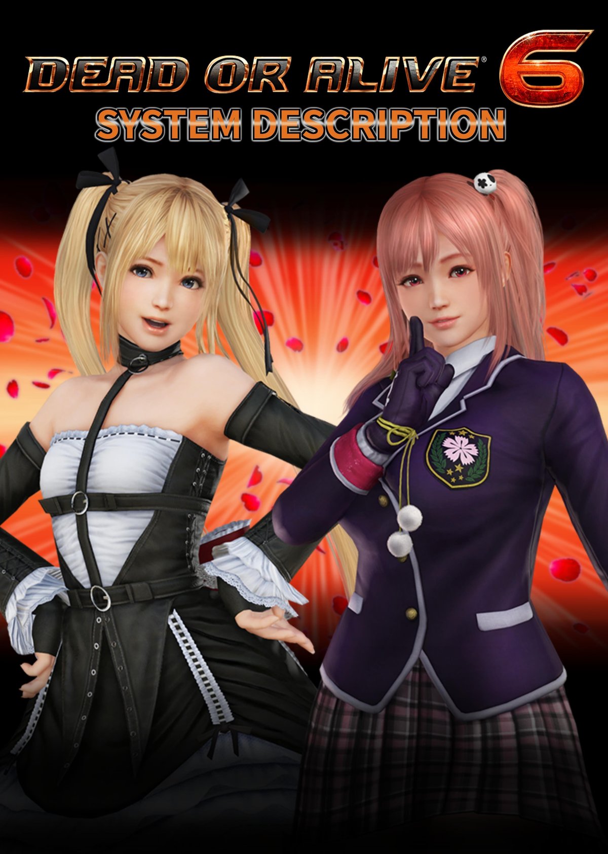DOA6 基本システム｜douten