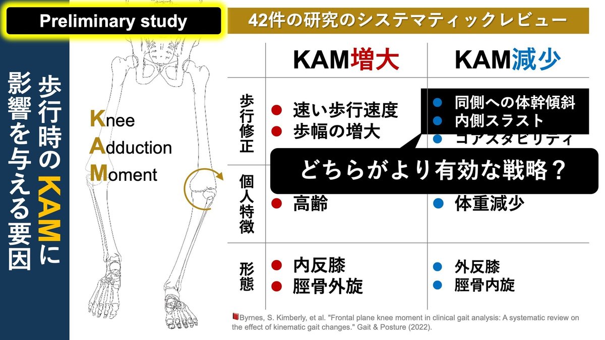 KAMを減少させる戦略。体幹傾斜 vs. 膝内側スラスト｜Super Human | 理学療法士／保健学博士 Ph.D.