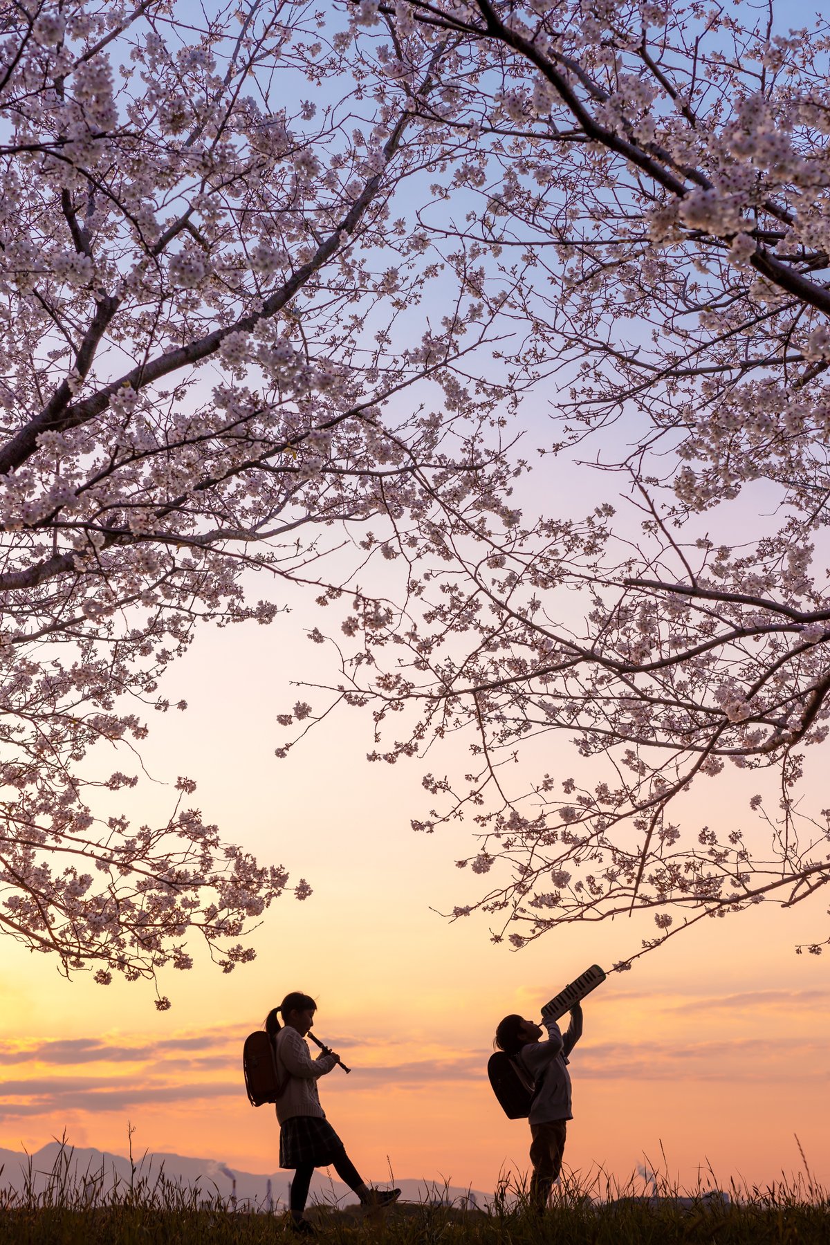 自己紹介｜Erika Inokuchi