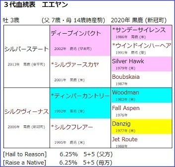 【ニュージーランドトロフィー（G2）】～予想篇｜Haya｜note